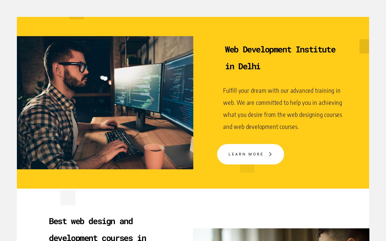 Web Development Institute